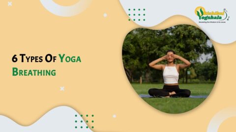 6 Powerful Yoga Breathing Techniques for Ultimate Relaxation and Energy