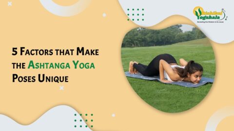 5 Factors That Make Ashtanga Yoga Poses Unique and Inspiring
