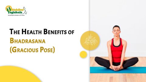 The Top 5 Powerful Health Benefits of Bhadrasana (Gracious Pose ...