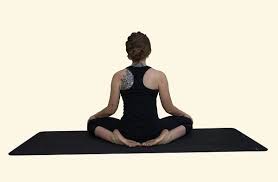 The Health Benefits of Bhadrasana (Gracious Pose) - Rishikul Yogshala Blog