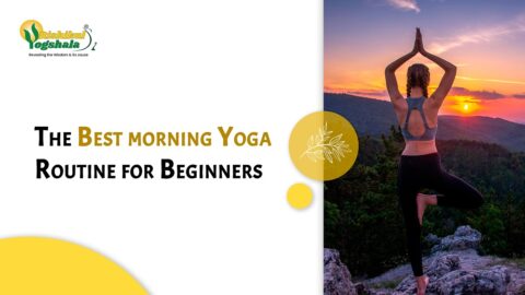 The 5 Best morning Yoga Routine for Beginners