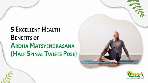 5 Excellent Health Benefits of Ardha Matsyendrasana (Half Spinal Twists ...